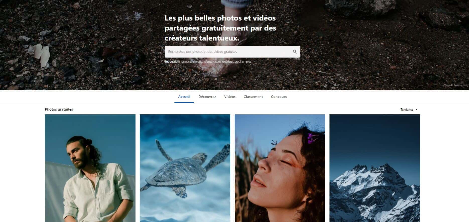 Banque d’image gratuite - Trouver des images libres de droits