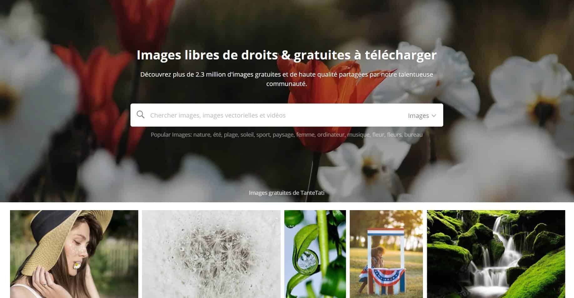 Banque d’image gratuite - Trouver des images libres de droits